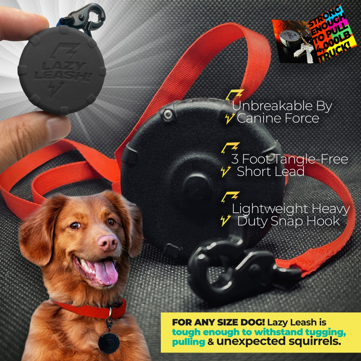 Lazy Leash - Safe & Easy 2pc Power Pack Mix – Fella & Fetch