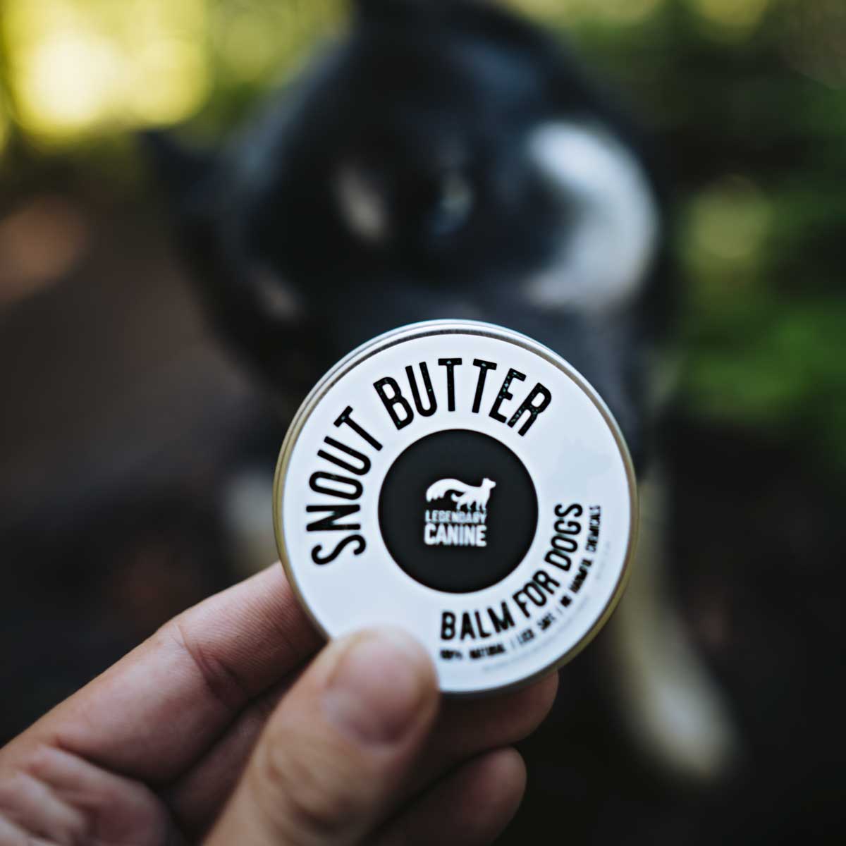 Legendary Canine Canine Snout Butter 60ml – Fella & Fetch