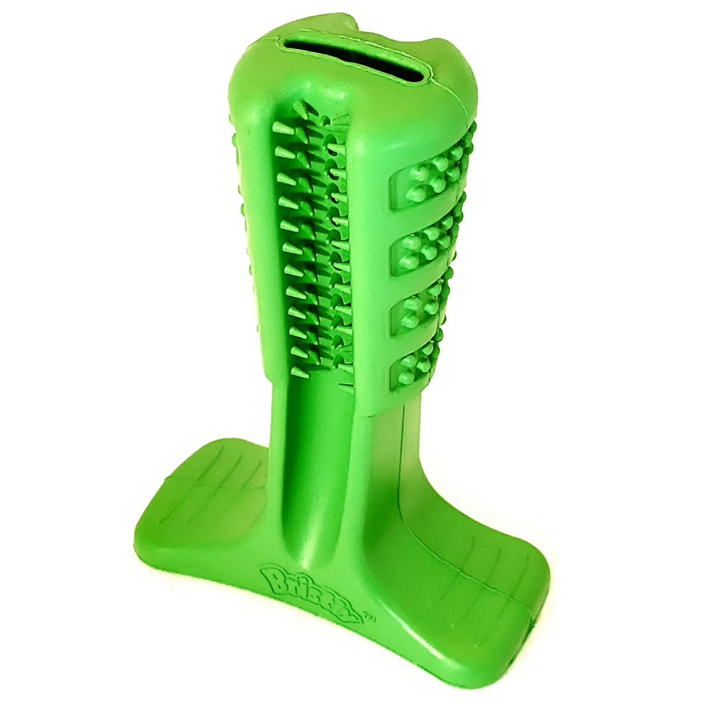 Bristly Brushing Stick – Fella & Fetch